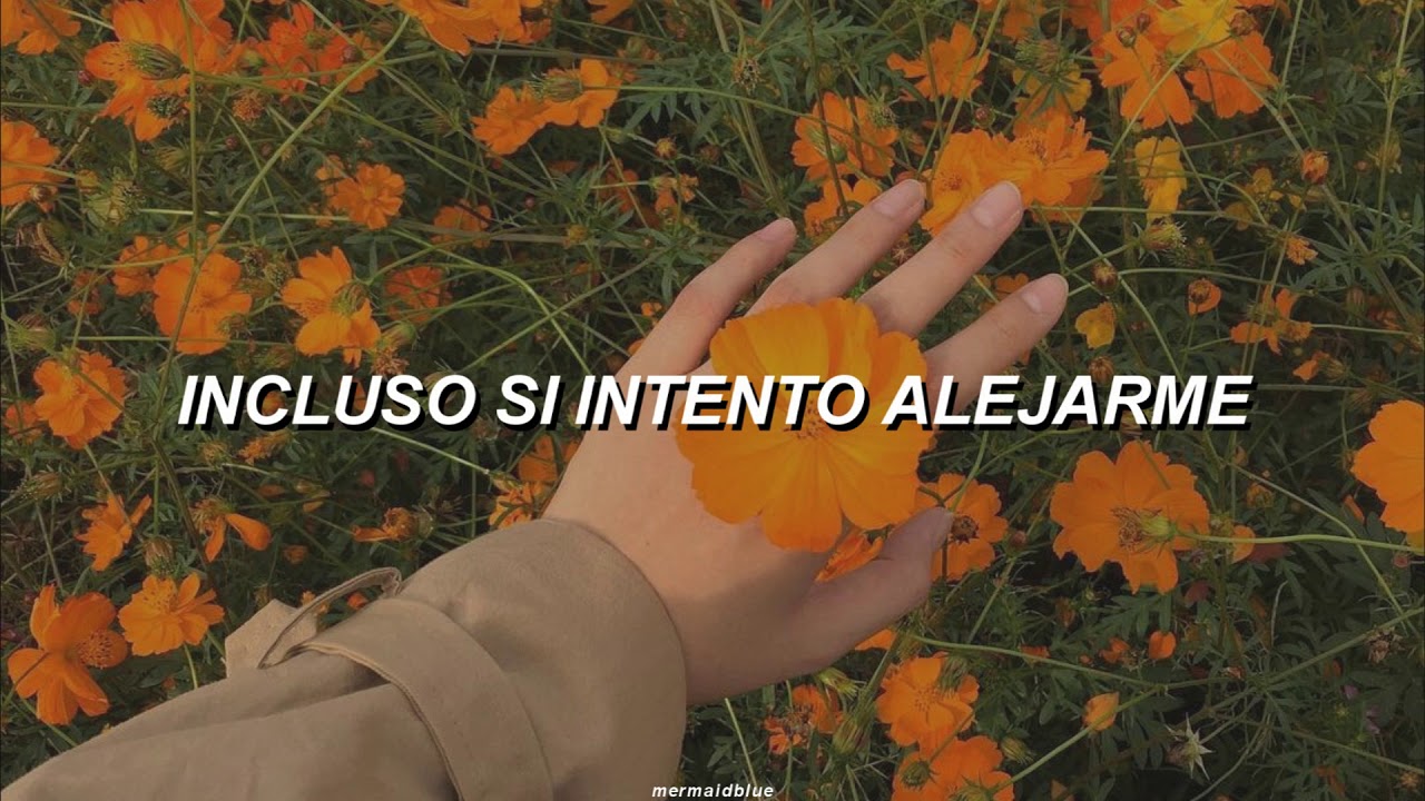 Davichi - Forgetting You ; Moon Lovers : Scarlet Heart Ryeo OST (Sub ...