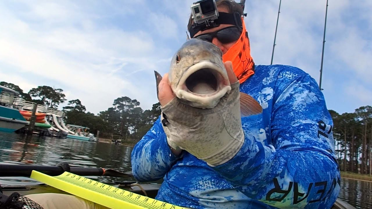 Kayak Fishing for Red Fish, St. Andrews 2018 video 2 - YouTube