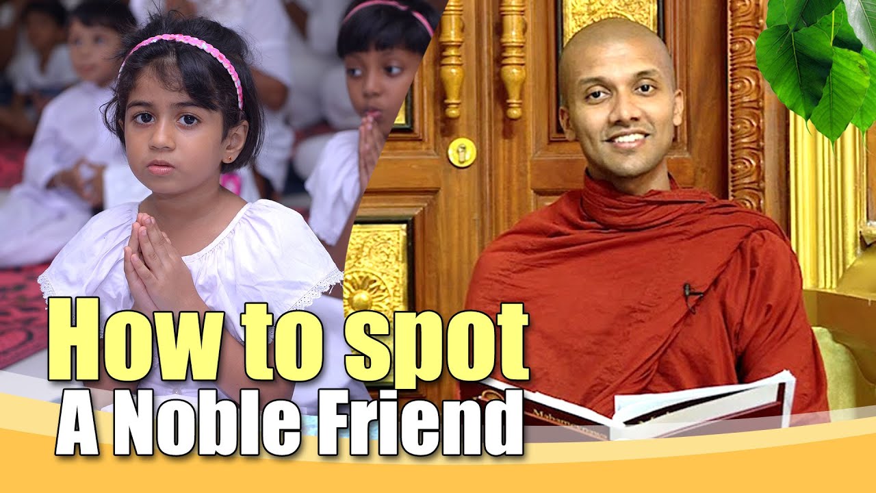 How To Spot A Noble Friend | 2021-09-11 - YouTube