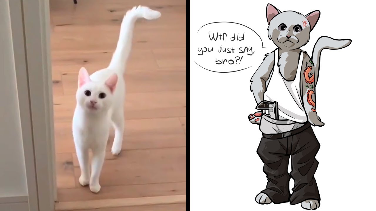 Grand Theft Auto VI but Cat 😹 New Funny Videos 2023 😂 Cat Memes - YouTube