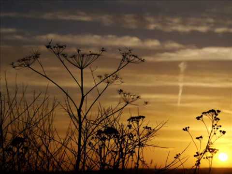 Faruk Sabanci - Emotional Outburst (Original Mix)