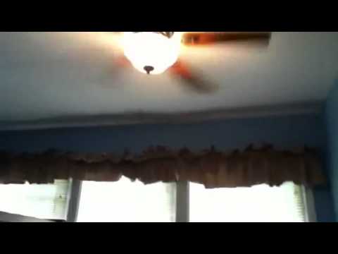 Monkey attached to ceiling fan - YouTube