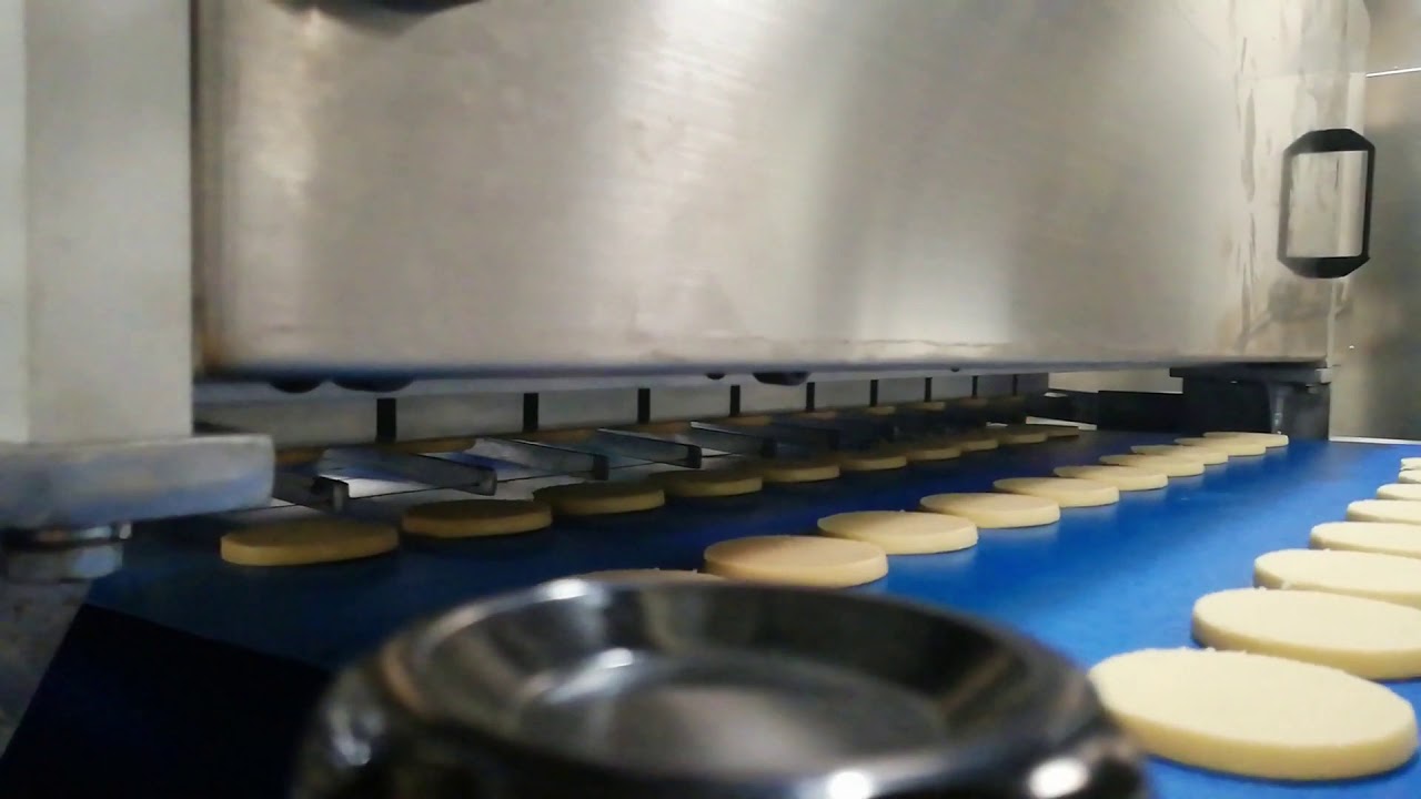 Skywin Wire Cut Cookies Making Machine - YouTube