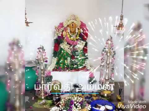 Parvathi Amman 🙏🙏🙏.வடக்கு செழிய நல்லூர் .திருநெல்வேலி. - YouTube