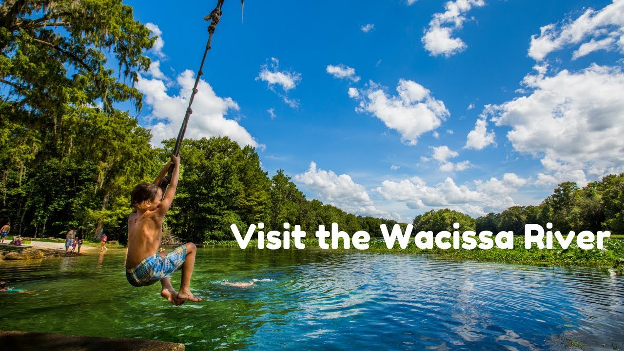 Florida Travel: How to Explore the Wacissa River, Jefferson County ...