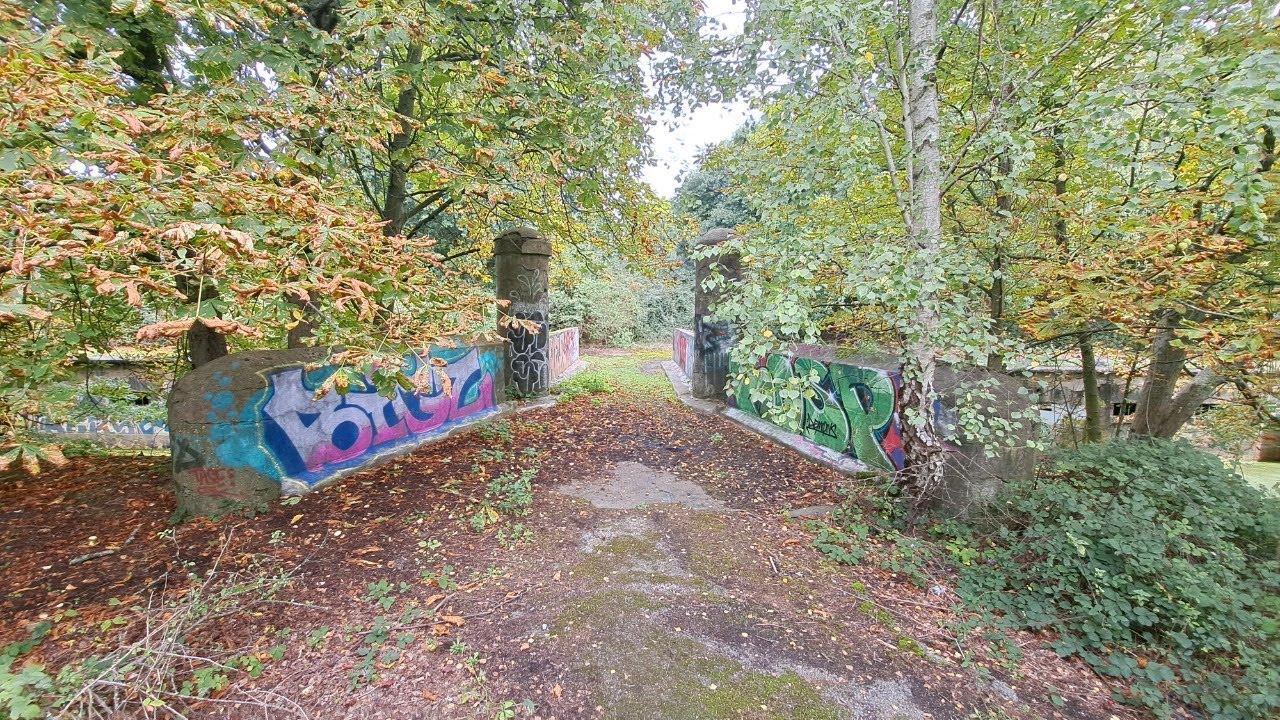 Bengles Friday Night Livestream Chat - YouTube