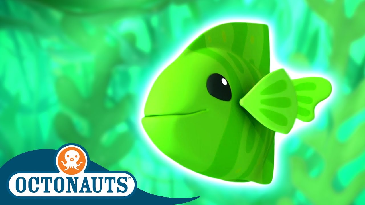 Octonauts - The Mysterious Kelp Forest | Full Episode 19 | Cartoons for ...