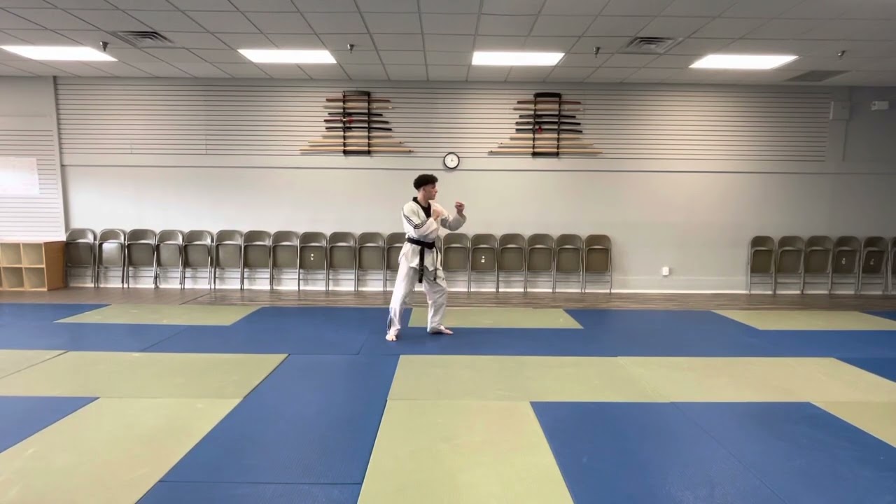 Step back, roundhouse kick - YouTube