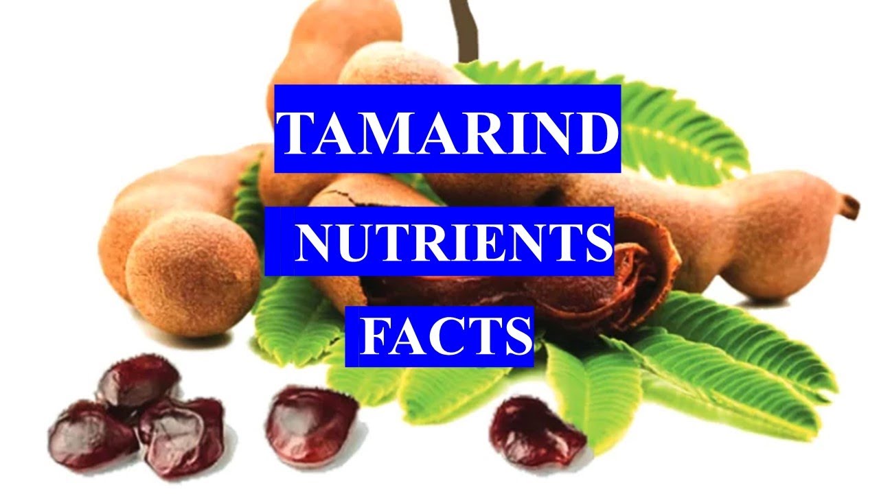 TAMARIND - Spice - HEALTH BENEFITS AND NUTRIENTS FACTS - YouTube
