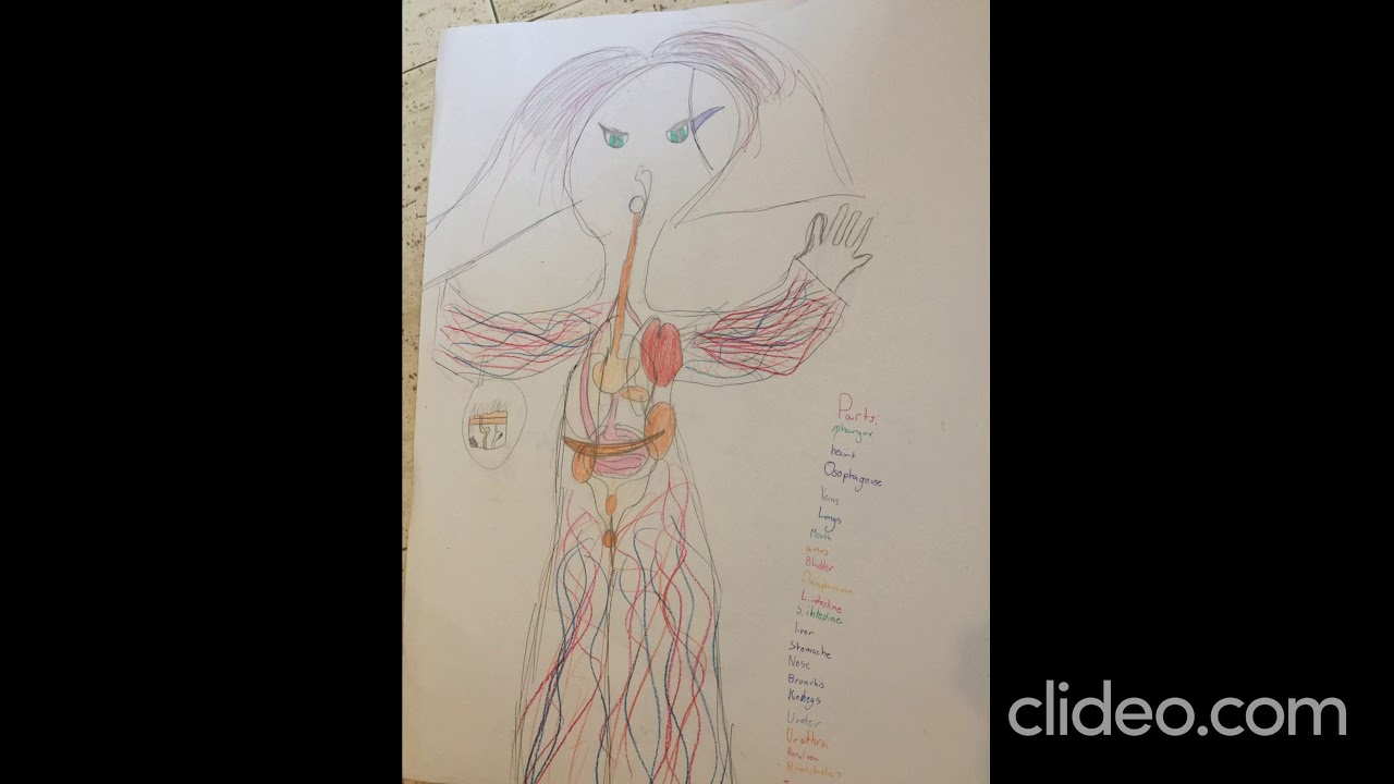 BODY SYSTEMS - YouTube