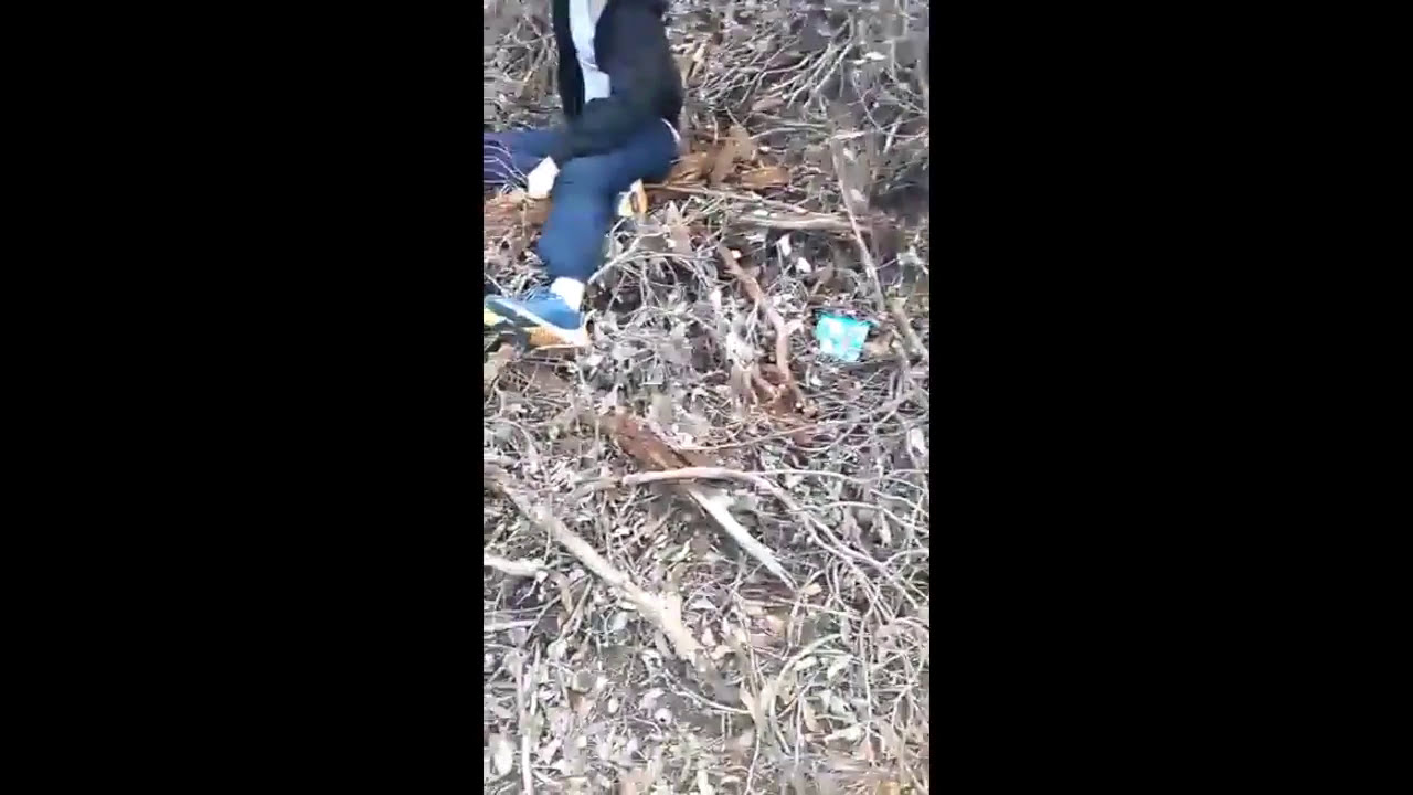 A Tree Branch Snaps and 16 Year Old Me Falls Down - A Documentary - YouTube