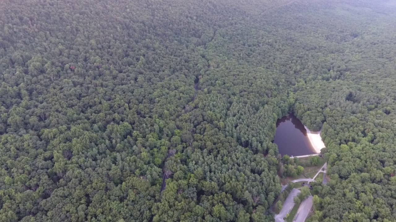 Tuscarora State Forest Sunset - YouTube