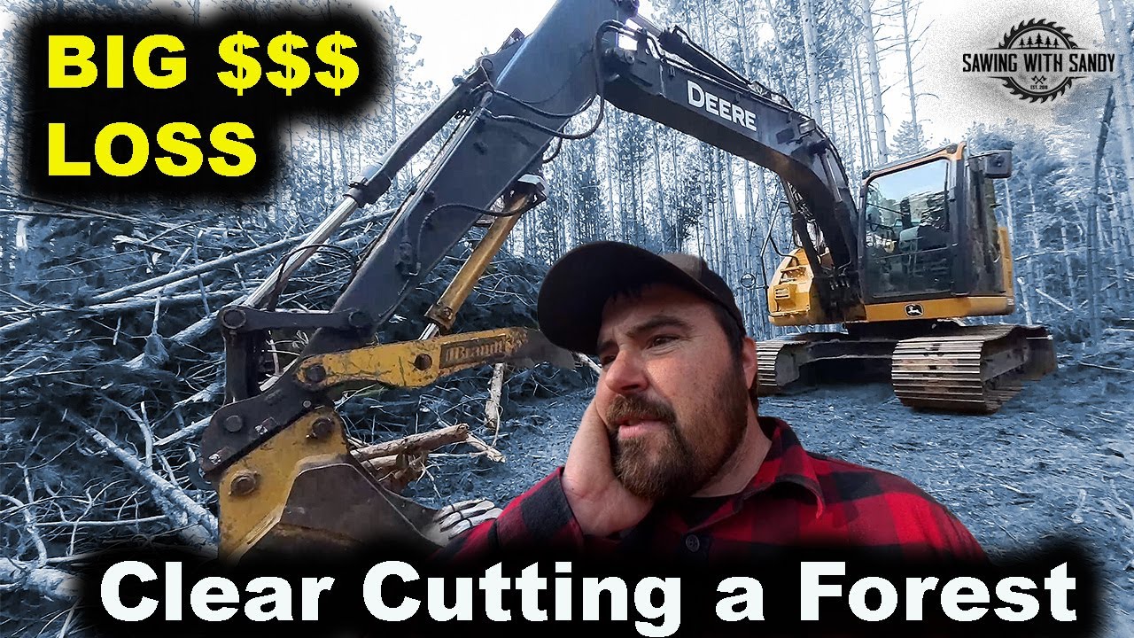 Let's SMASH SOME TREES - YouTube