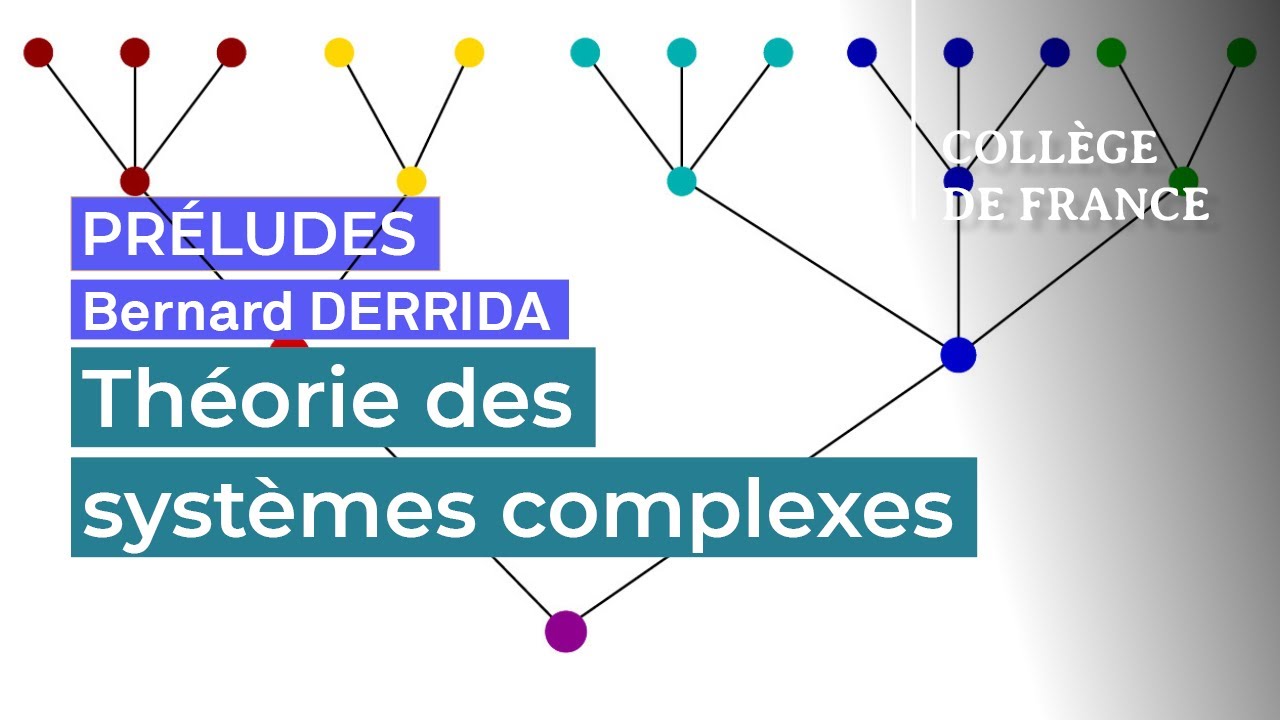 Théorie des systèmes complexes : des verres de spin aux réseaux de ...