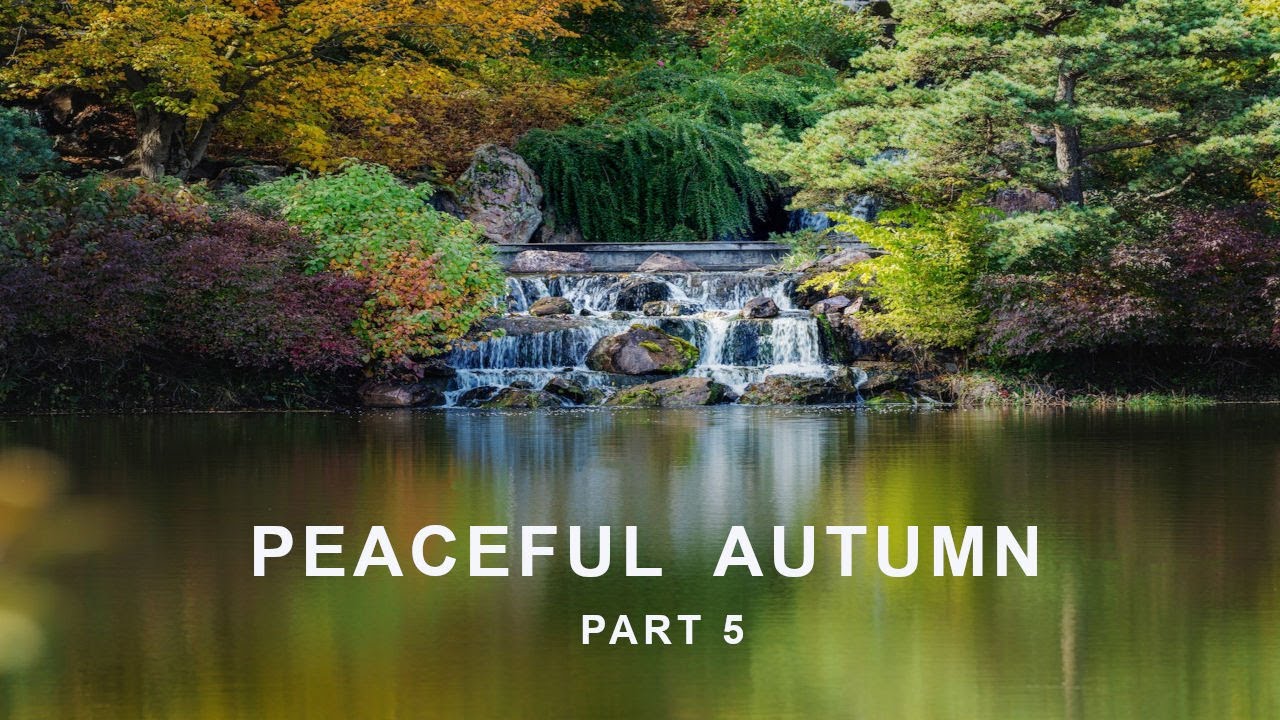 "Peaceful Autumn" By Calm Music For Sleep, Peaceful Piano Music, Fall ...