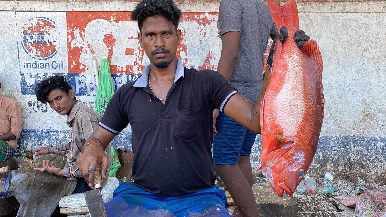 5KG RED SNAPPER KNOCKOUT WITH IN 3 MINS🔪KF FISH CUTS - YouTube
