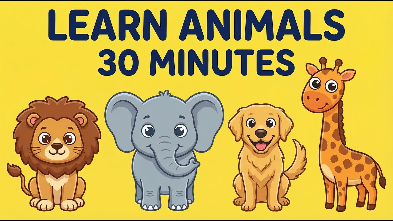 Learn Animals for Kids 🐶🦁 | 30 Minutes of Fun Animal Learning - YouTube