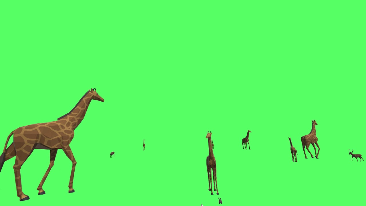Ultimate Giraffe Green Screen herd in CGI 3D Royalty Free - YouTube