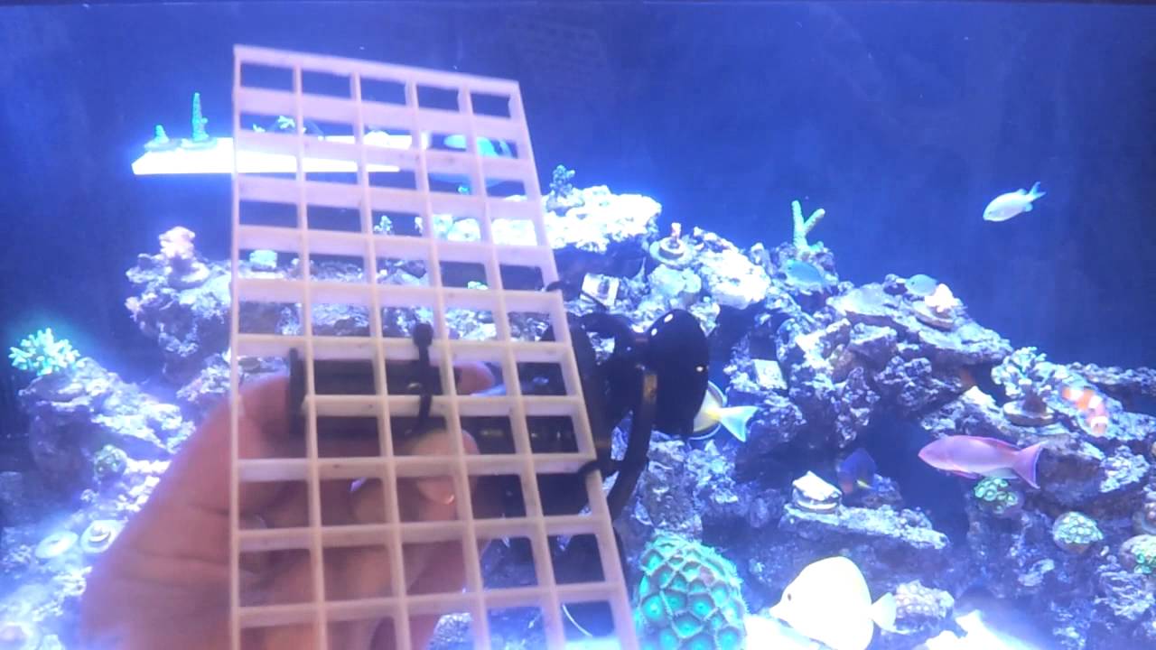 DIY Display Frag Rack - YouTube