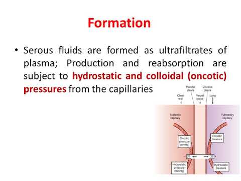 Lecture 8 Serous Fluids - YouTube