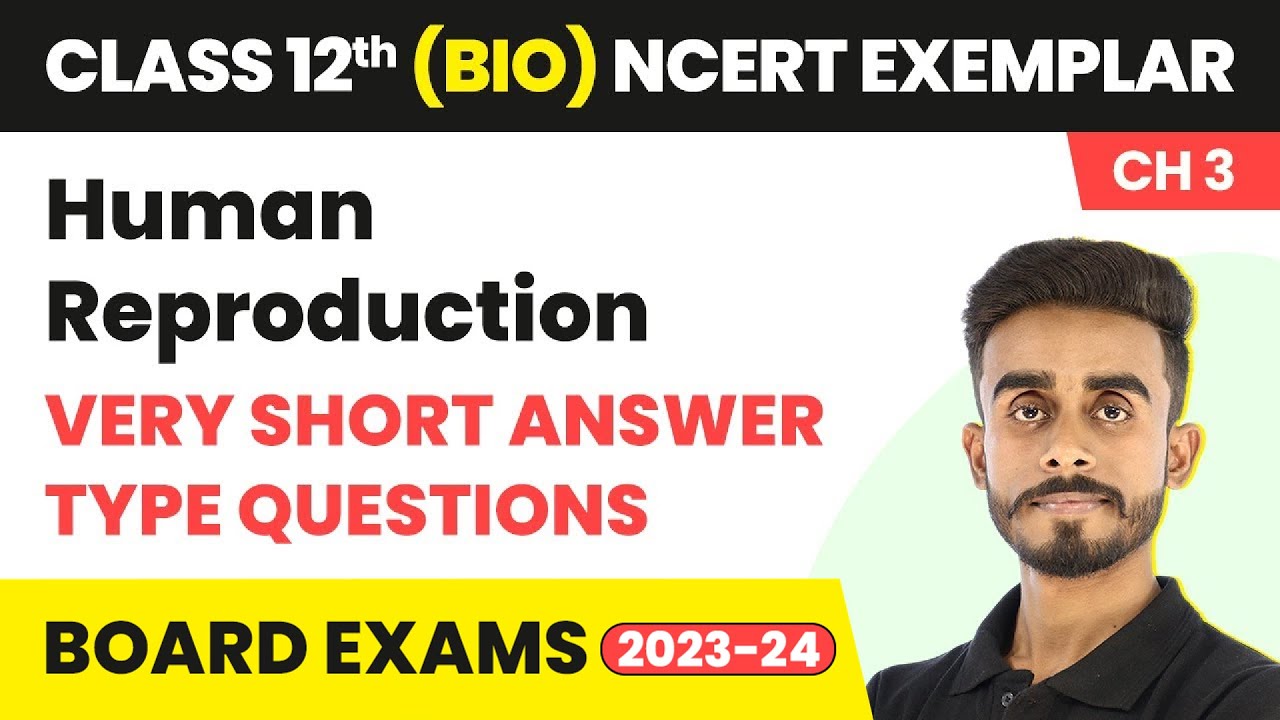 Human Reproduction - Very Short Answer Type Questions | Class 12 ...
