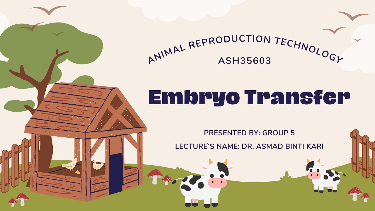 ASH35603 :ANIMAL REPRODUCTION TECHNOLOGY - Embryo Transfer - YouTube