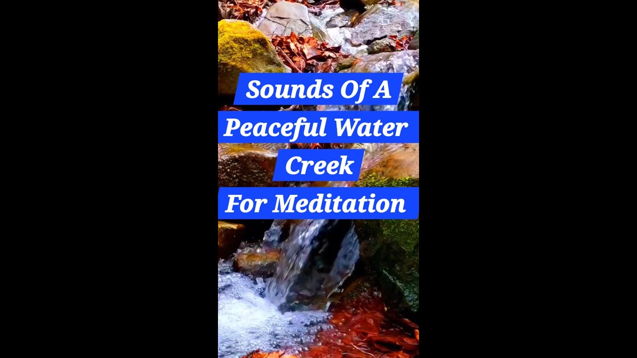 ASMR | Water Stream with Gentle Rock Sounds | Relaxing Nature Ambience ...