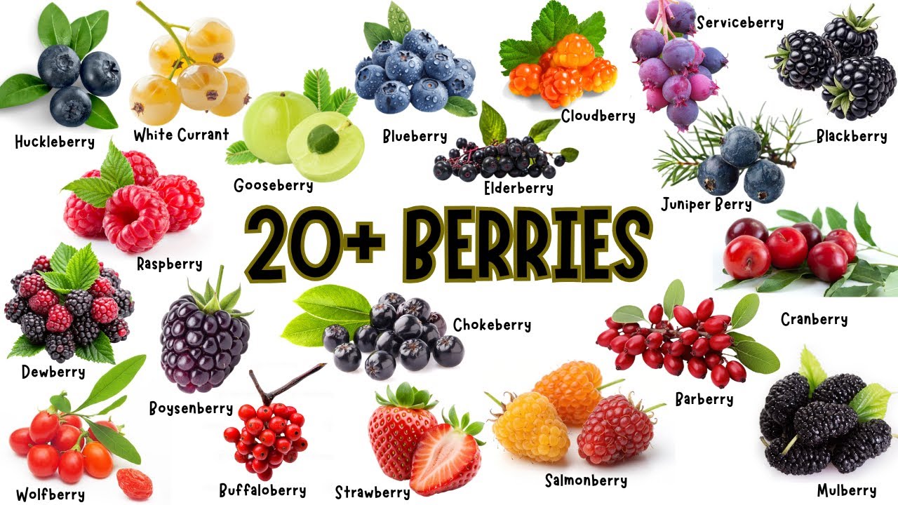 List of 20+ Berries l Learn All Berry Names in English with Pictures ...