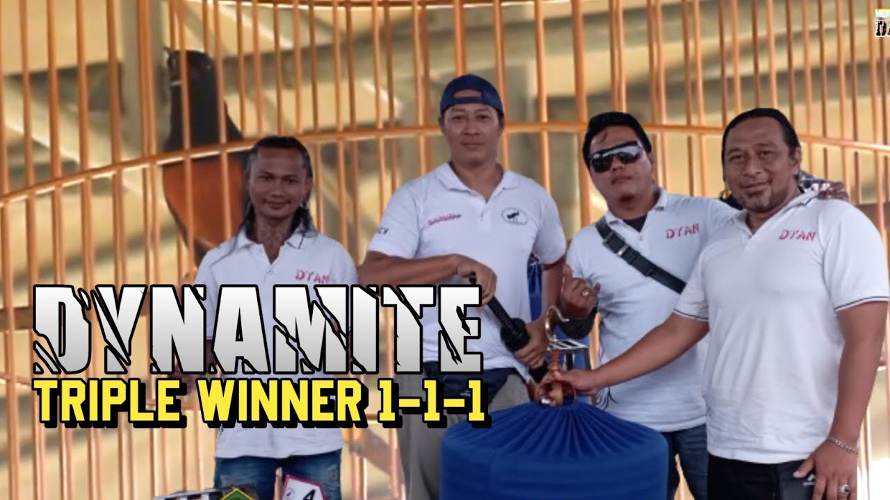 RAWATAN RAHASIA‼️😱 TIAP HARI MANDI KECUALI PAS LOMBA. MURAI BATU DYNAMITE // D'YAN SAMURAI - YouTube