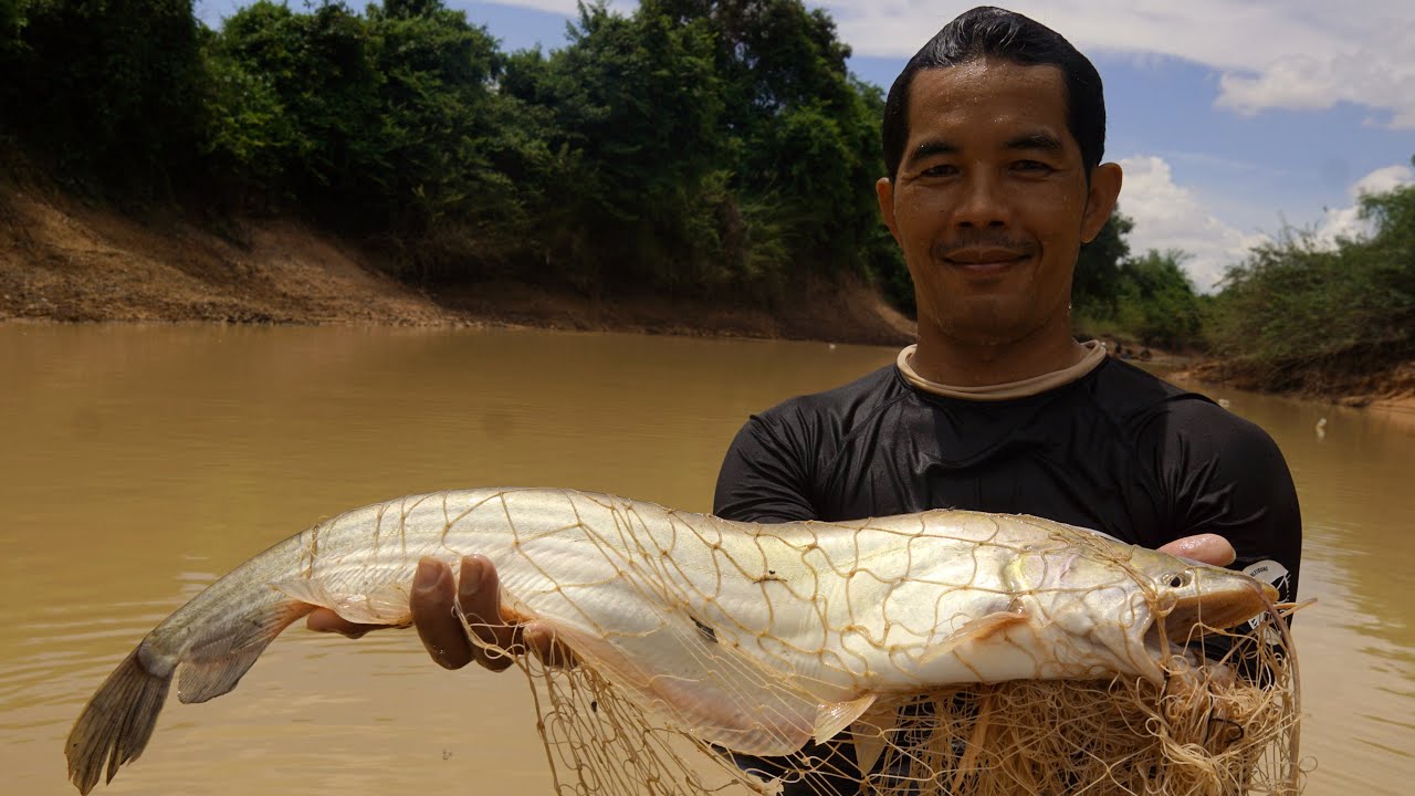 A skilled fisherman diving to catch monster fish - YouTube