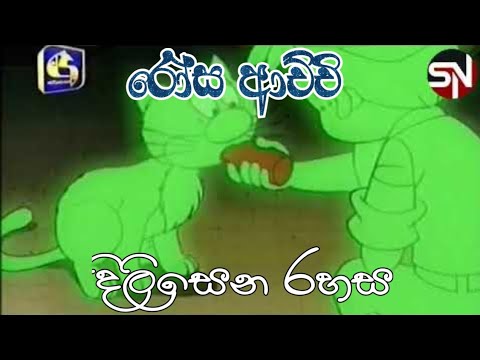 රෝස ආච්චි (දිලිසෙන රහස) | Rosa Achchi Sinhala Cartoon - YouTube