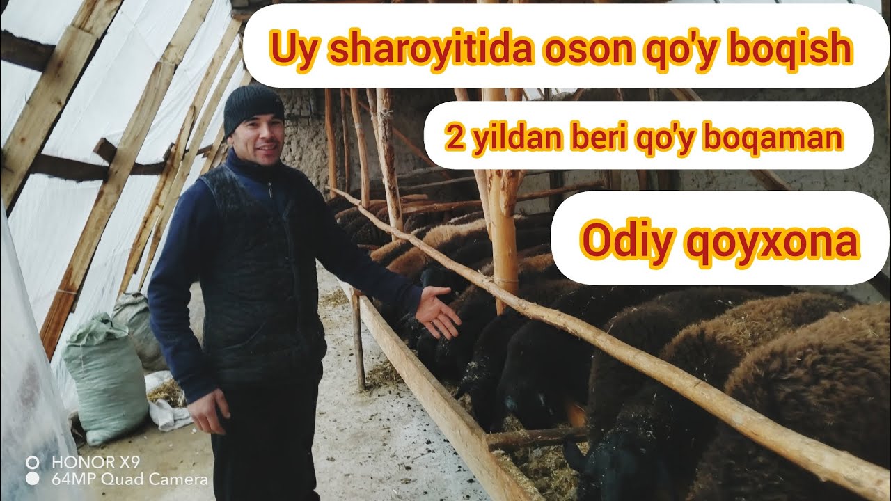 QOY BOQISH SIRLARI 💸 - YouTube