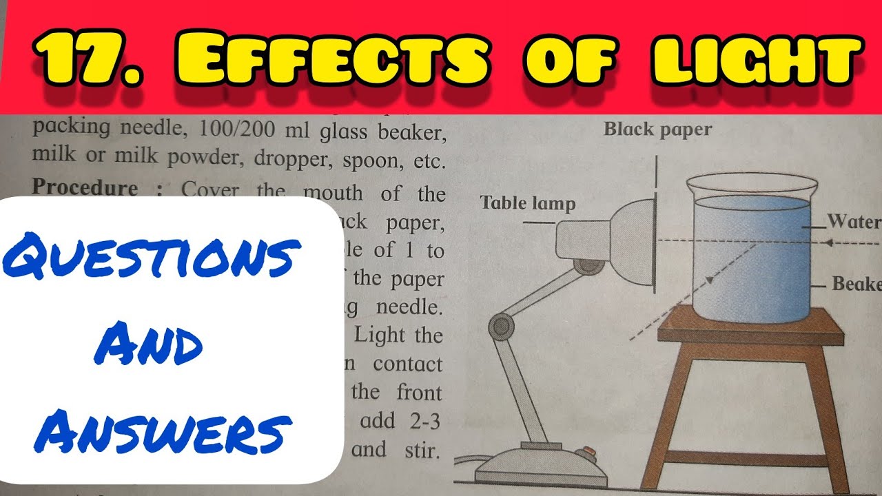 7th Std - Science - Chapter 17 Effects of light questions answers ...