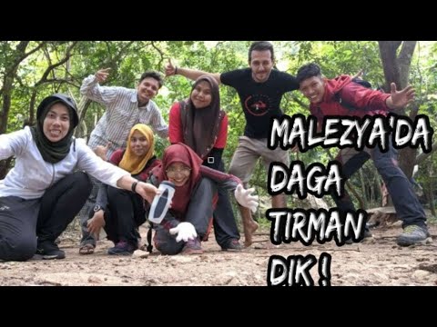 Otostopla Malezya - DAĞA TIRMANDIK ! | Tripyol 4