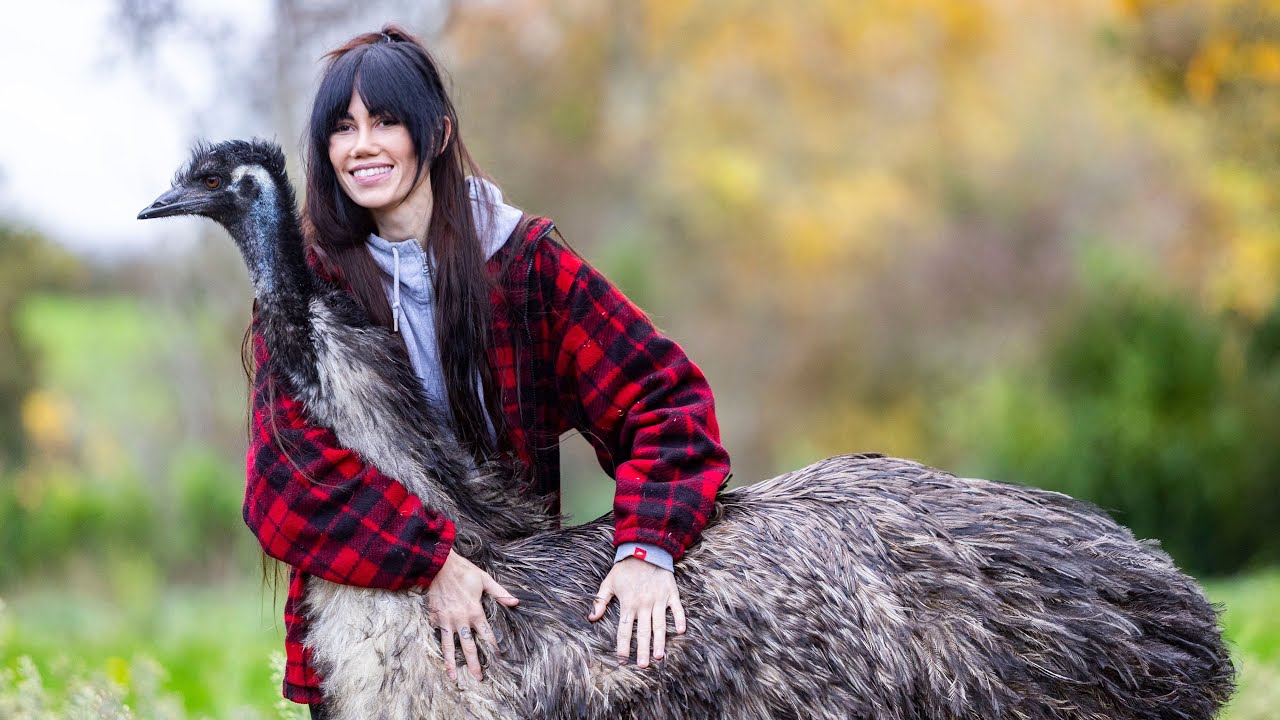 Woman buys emu egg on eBay after taking sleeping pill - treats her like ...