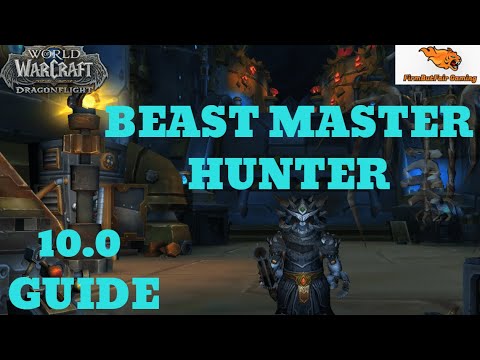 WoW - Beast Master Hunter build and guide, beginners. 10.0 Dragonflight ...