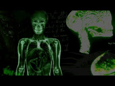 How Did David Create the Protomorph? Was he Developing a Queen? Alien ...