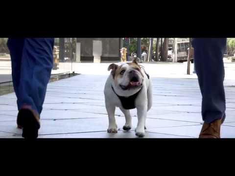 Batta Fulkerson Attorney Video - YouTube