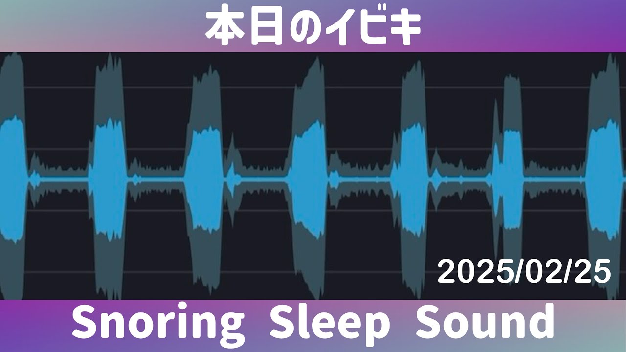 🐽 本日のイビキ / Snoring Sleep Sound 2025/02/25 - YouTube