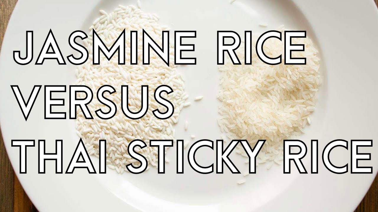 Difference Between Jasmine Rice and Sticky Rice | Thai and Lao Food ...