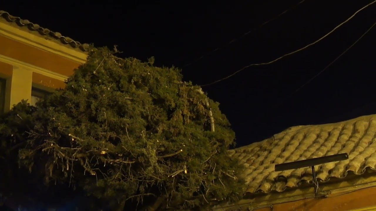 no tengan hijos - seberino Acordes - Chordify