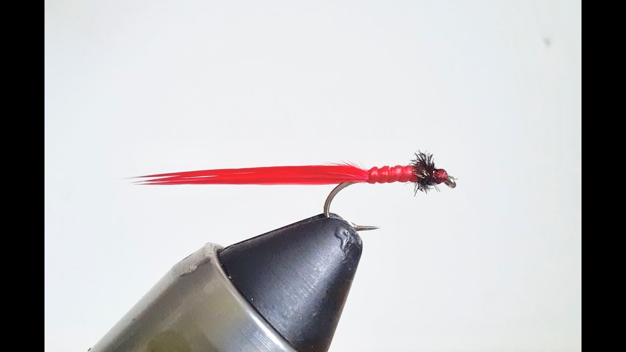 How to tie the Micro Bloodworm: Great fly for carp, roach and rudd ...