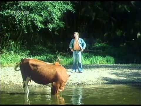 ....já znám široko daleko všechny krávy.....ale vás jsem tady ještě nevidel.....