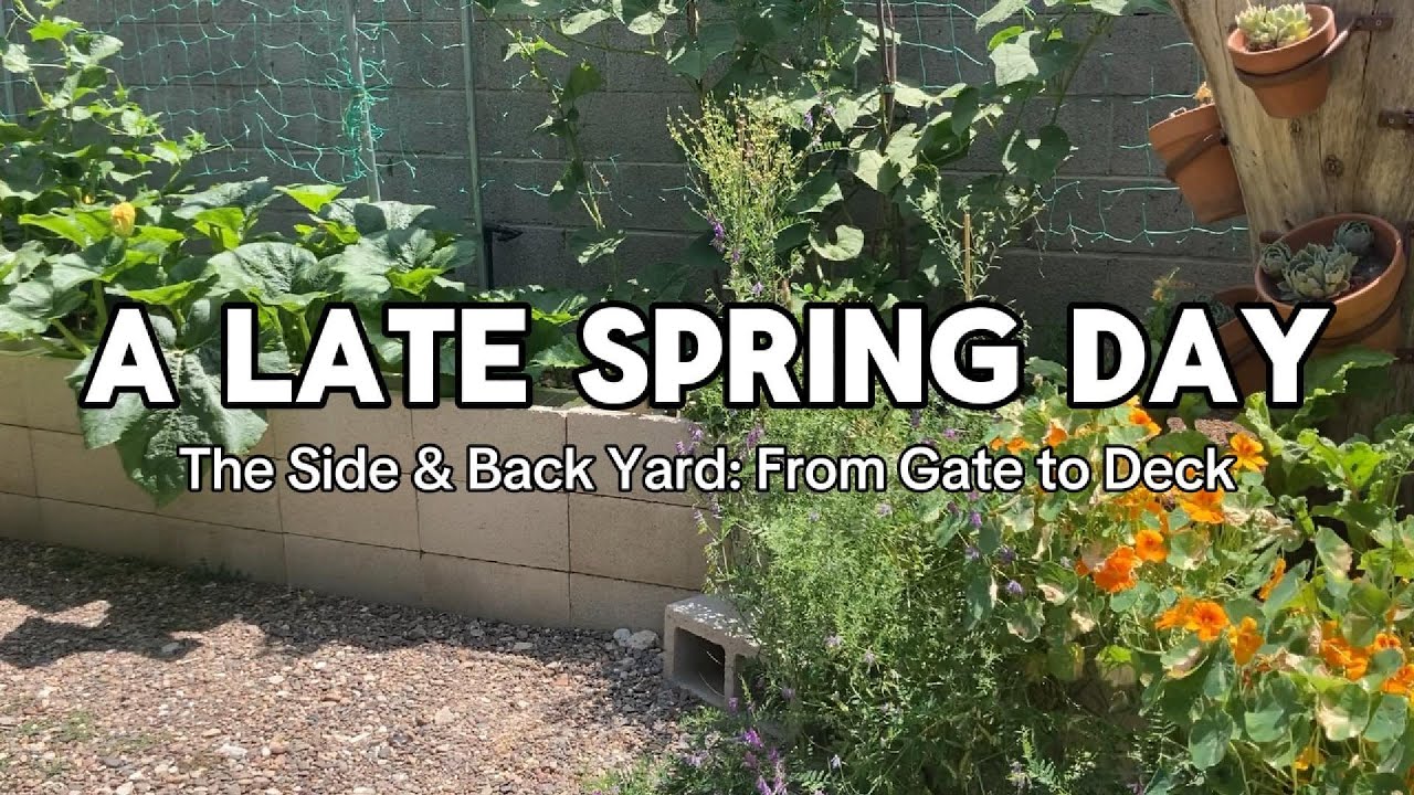 A Late Spring Day: Part 2 – Seasonal Garden Walkthrough 晚春的一天（第二集）：可食庭園 ...