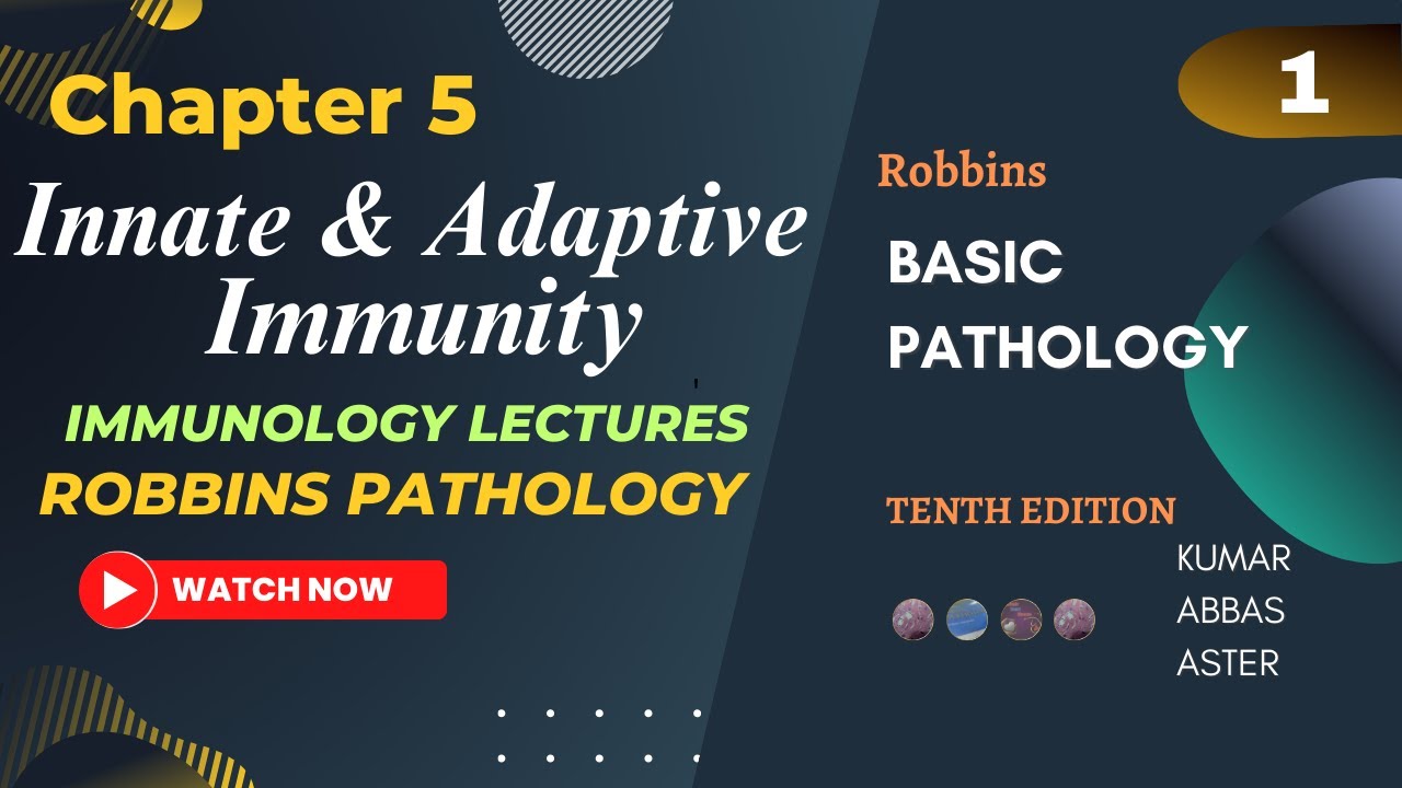Innate Immunity, Adaptive Immunity, Immunology Lectures, Robbins ...