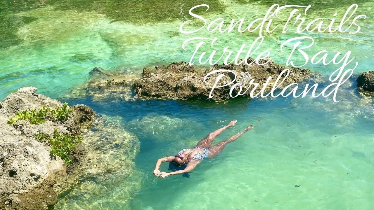 Turtle Bay || Portland Jamaica || SandiTrails - YouTube