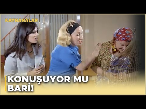Kaynanalar Türk Filmi | Nöriye, Dünürüne Kızıp Papağan Alıyor!