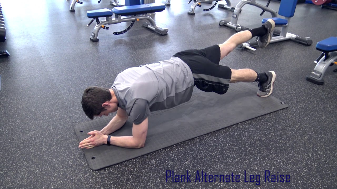 Plank Alternate Leg Raise - YouTube