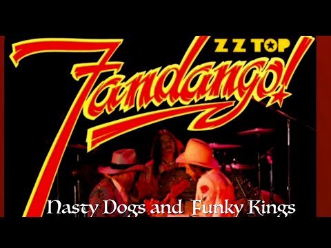 ZZ Top - Nasty Dogs and Funky Kings ( cover ) - YouTube