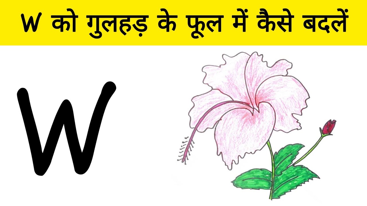W se Gulhad ka phool kaise banaye | learn how to Draw a hibiscus Flower ...